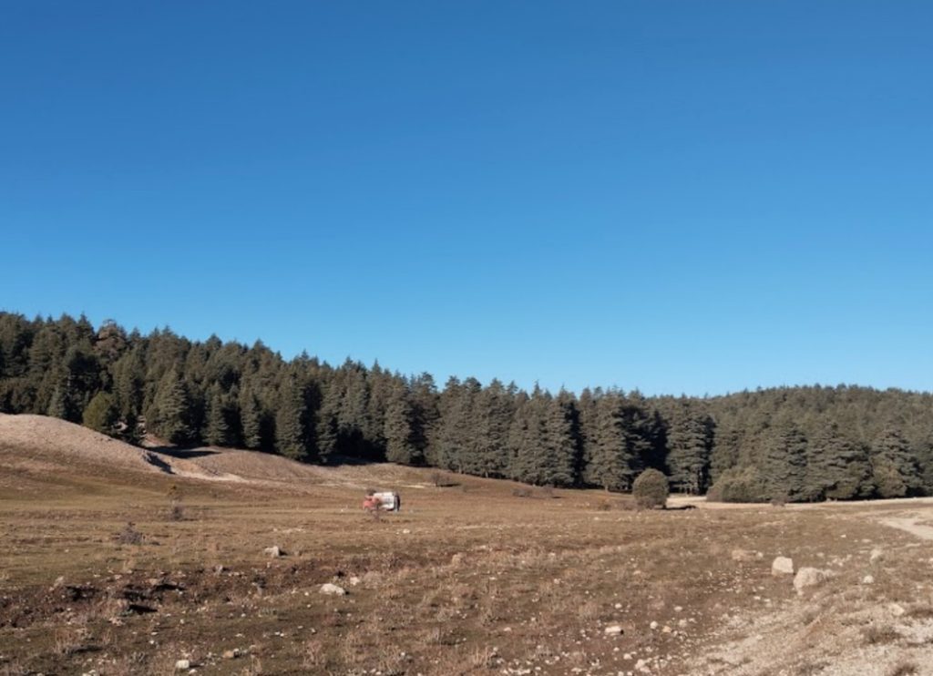 Azrou Morocco: An Enchanting Berber Town in the Middle Atlas Mountains ...