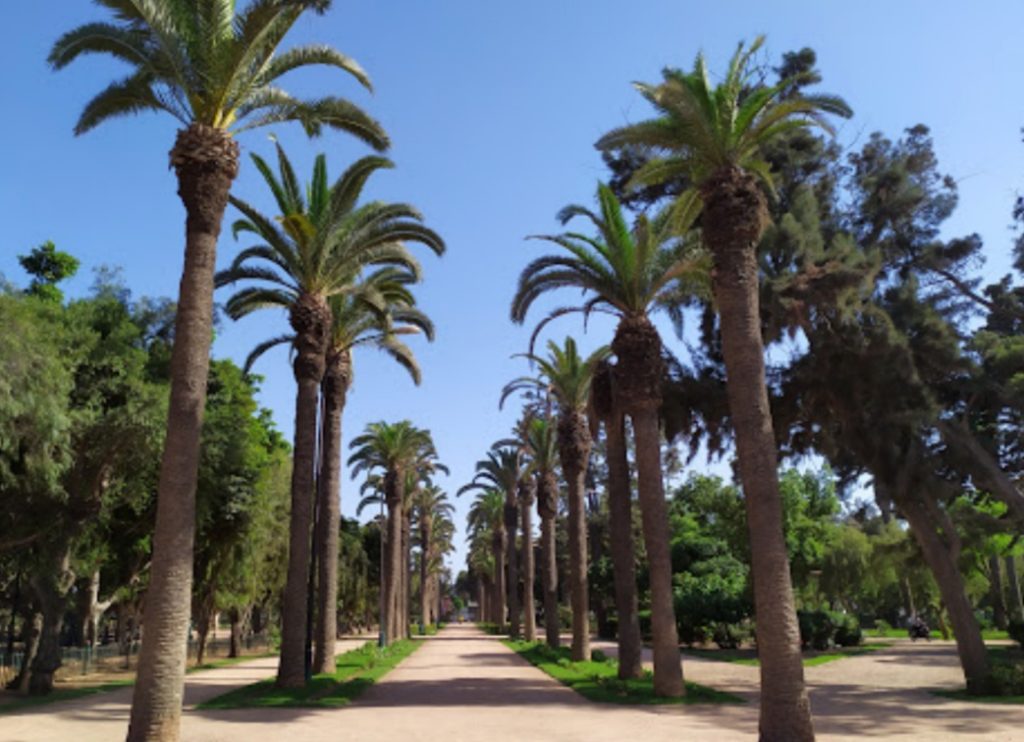 Parc Murdoch, Casablanca : une escapade urbaine au cœur de l'animation ...